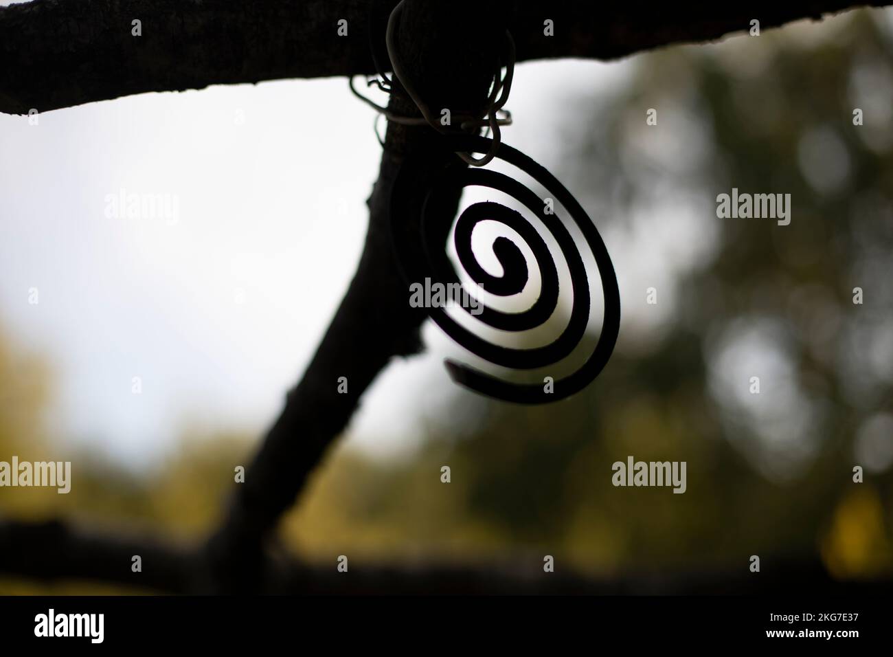 Insect spiral. Mosquito repellent. Round object on background of nature ...
