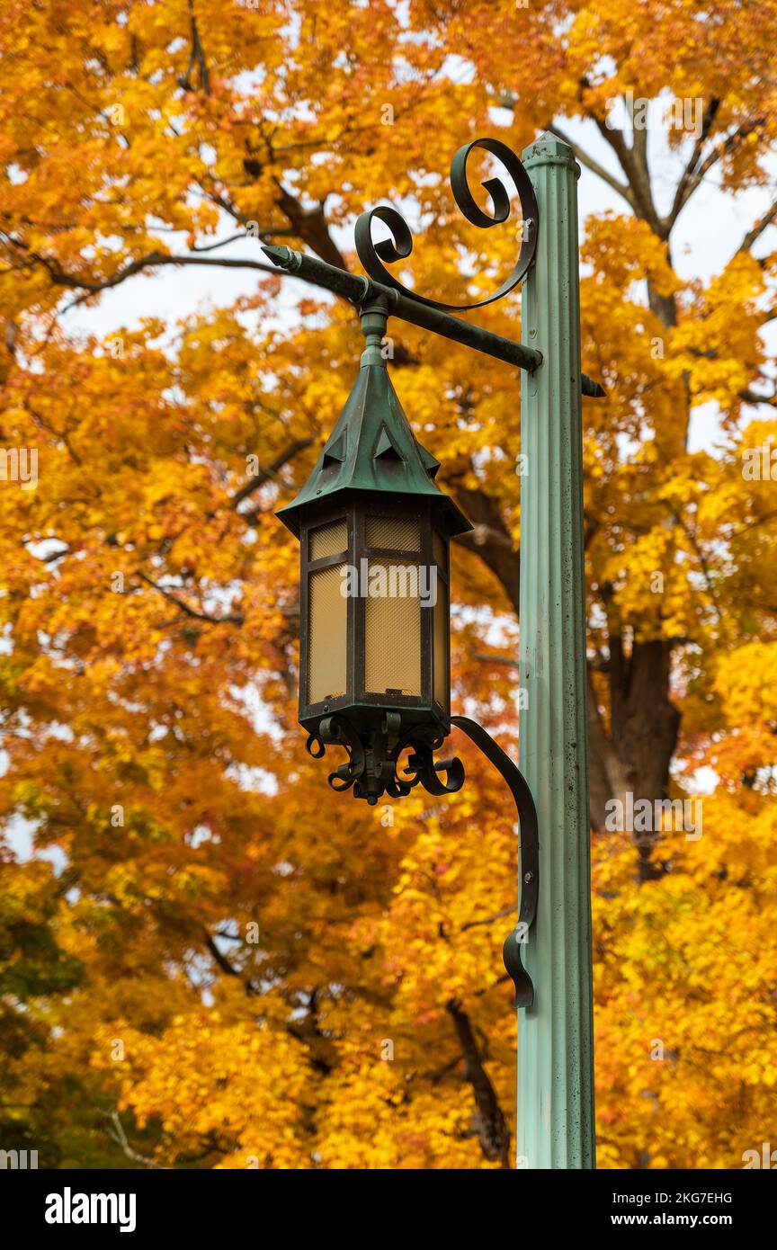 Historical gothic gas light style street lantern with fall colors Stock ...