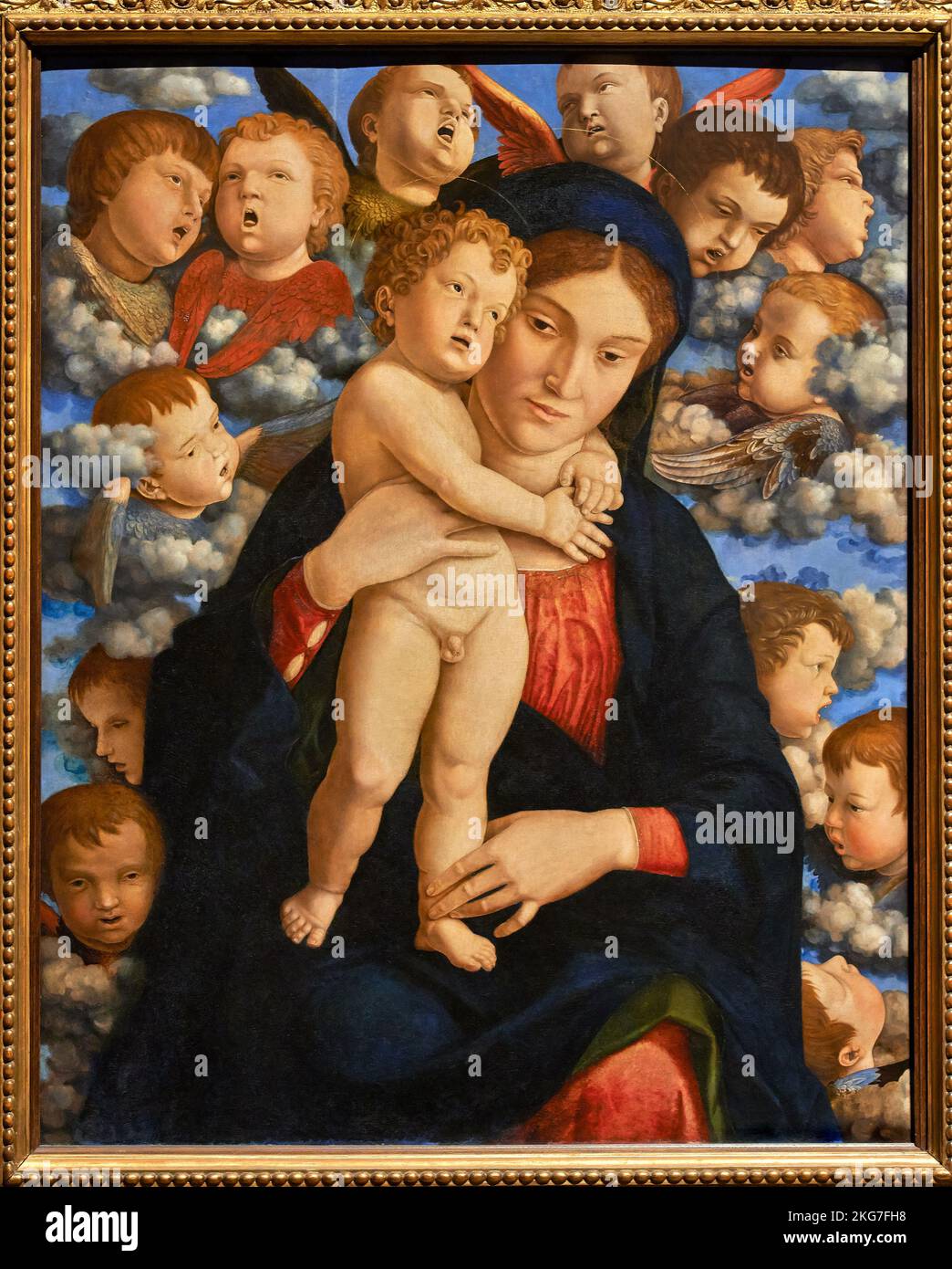 Madonna col Bambino e coro di cherubini - tempera su tavola - Andrea ...