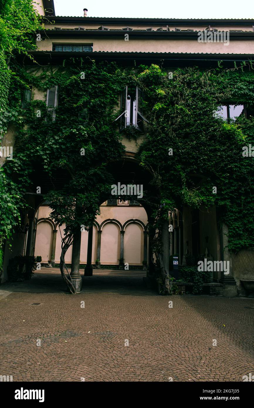 A vertical shot of the Leonardo da Vinci's Vineyard, with vine wall ...