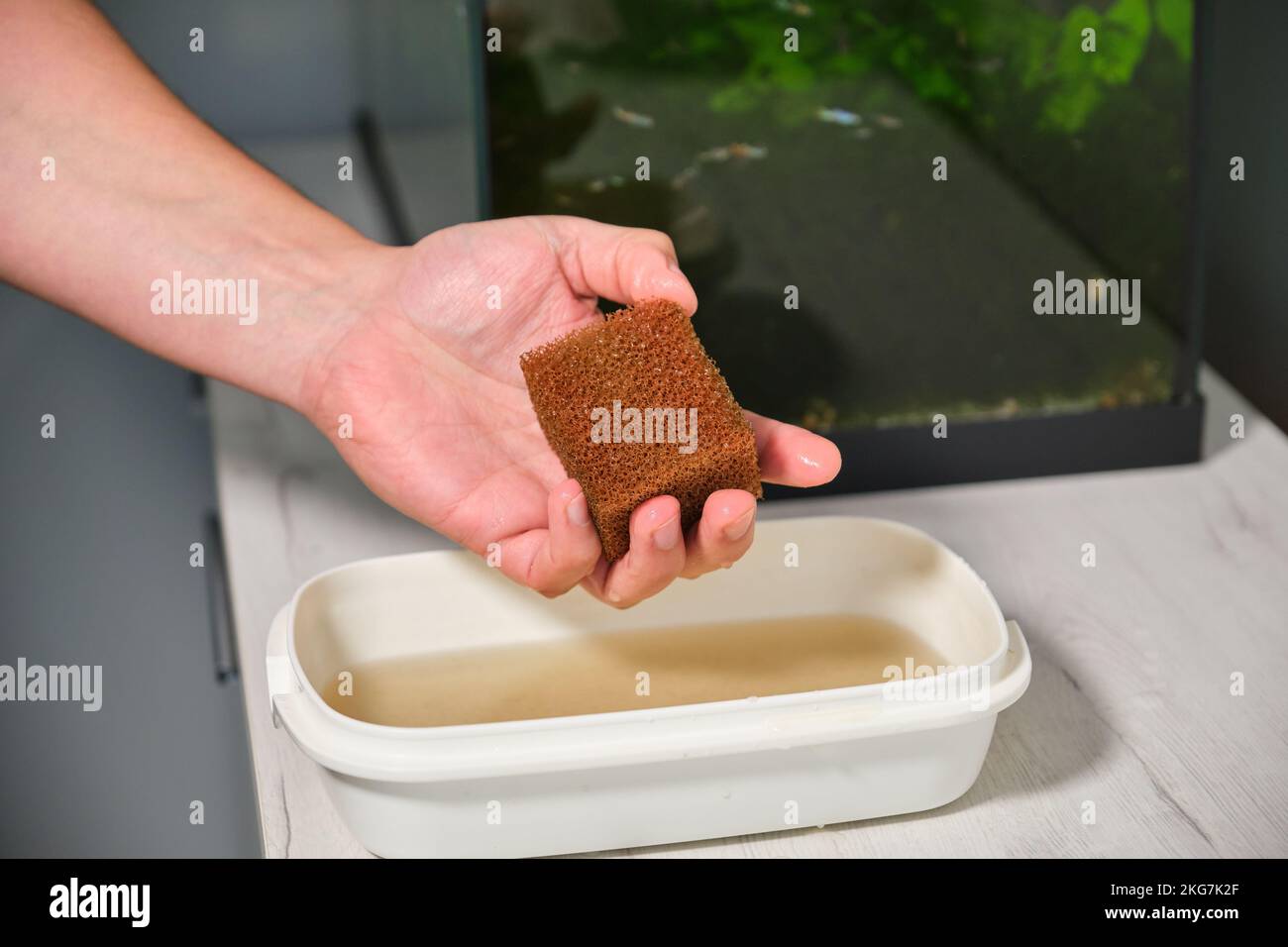 Sponge fish tank filter hi-res stock photography and images - Alamy