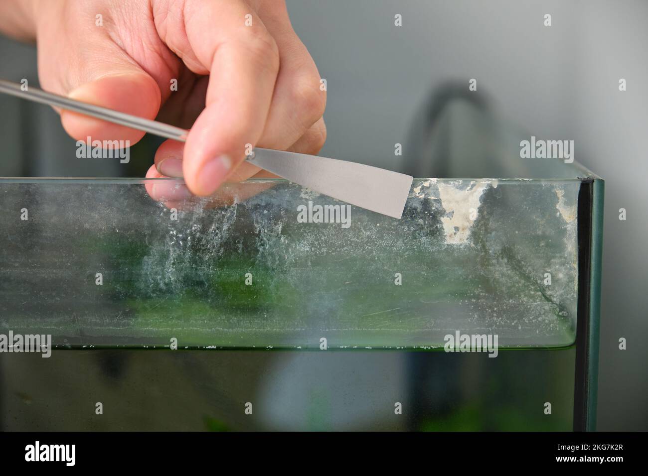 Lime scale hi-res stock photography and images - Alamy