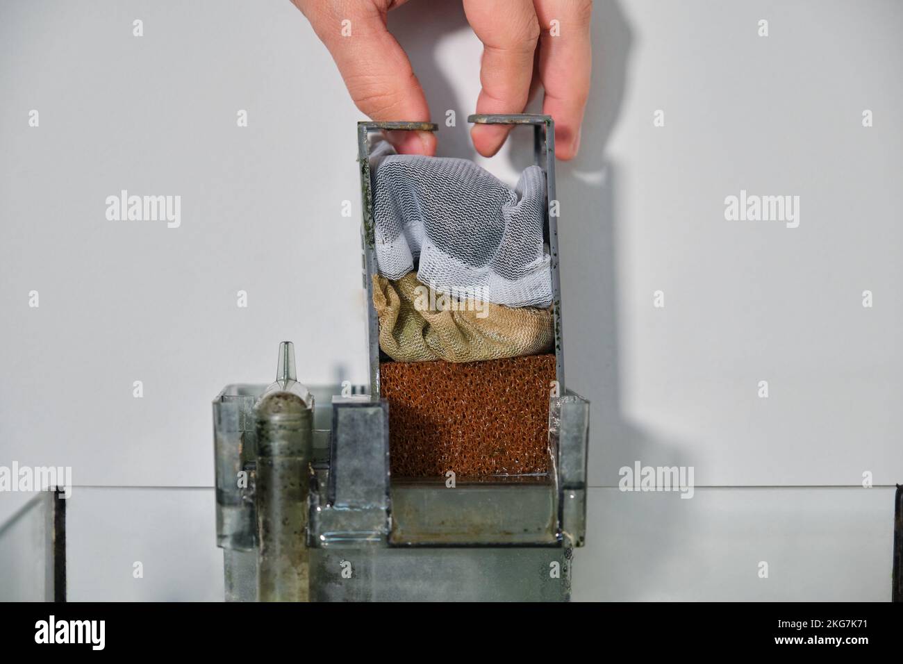 Hand placing filter materials in a fish tank waterfall filter after ...