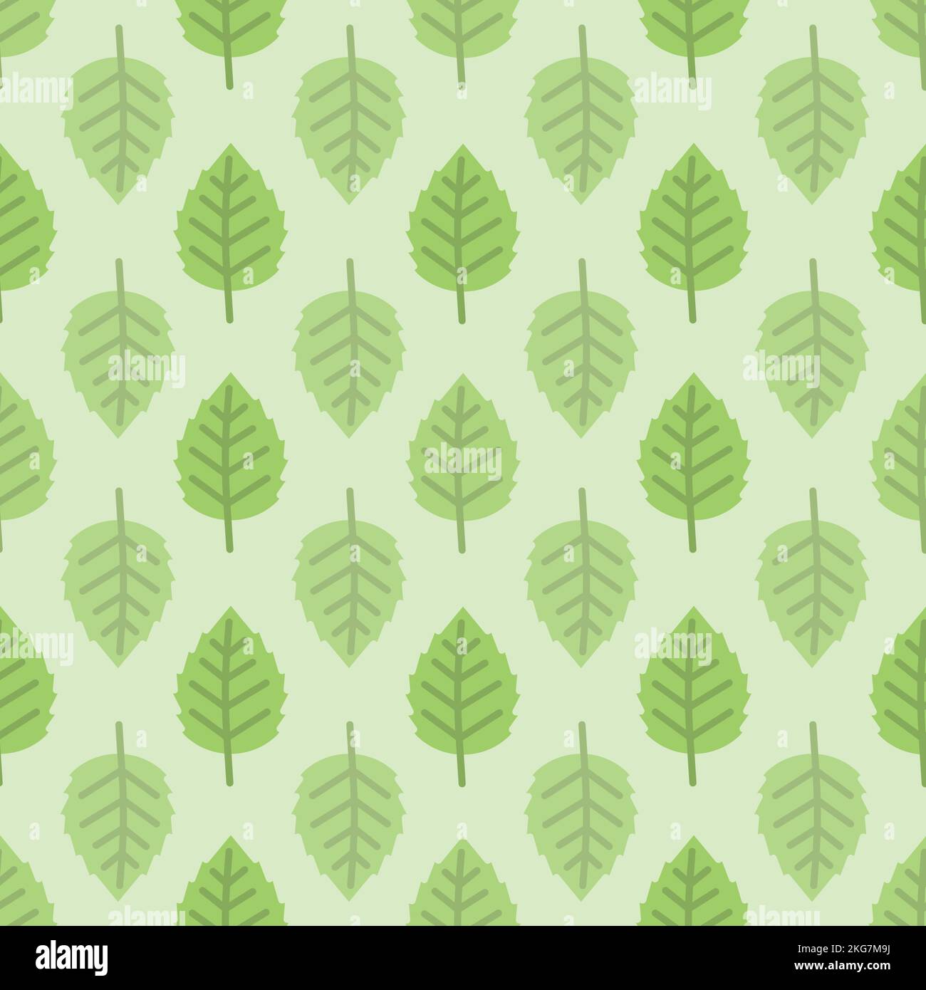 Vector Green Birch leaves repeat pattern background design Stock Vector ...