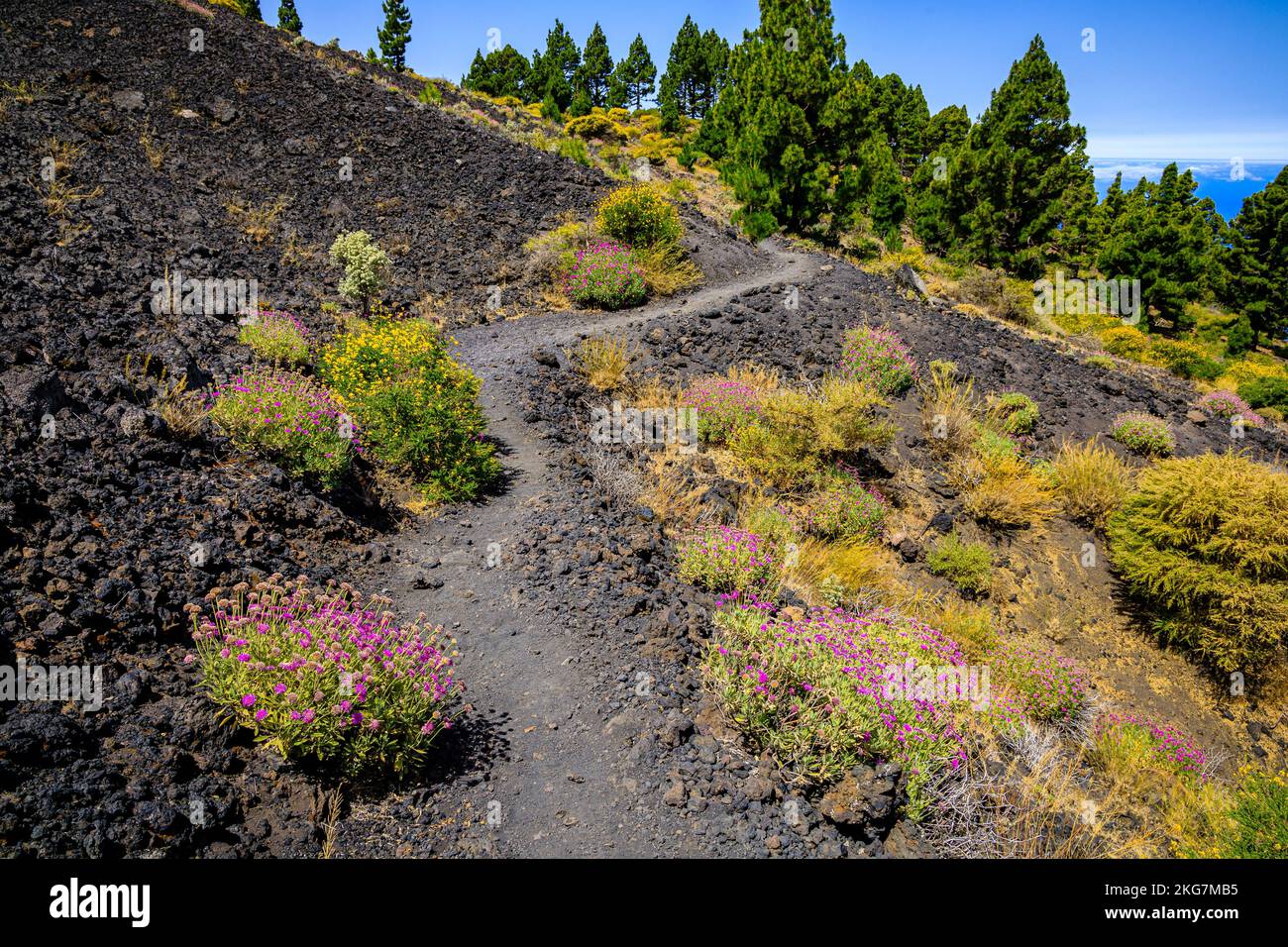 Narrow paththrough rocky terrain with rare vegetation Stock Photo - Alamy