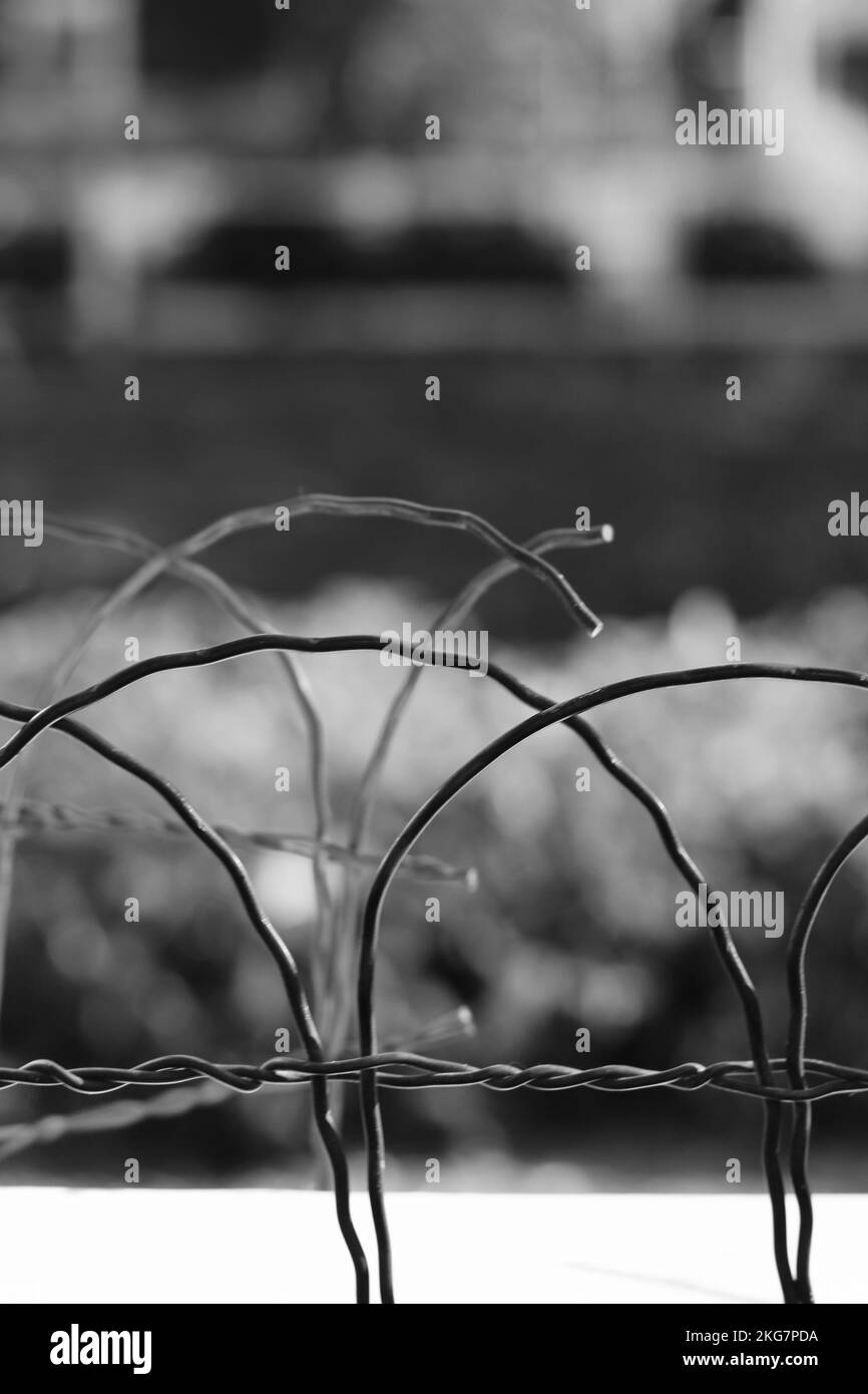 Vintage traditional wire fence surrounding the garden in a black and ...