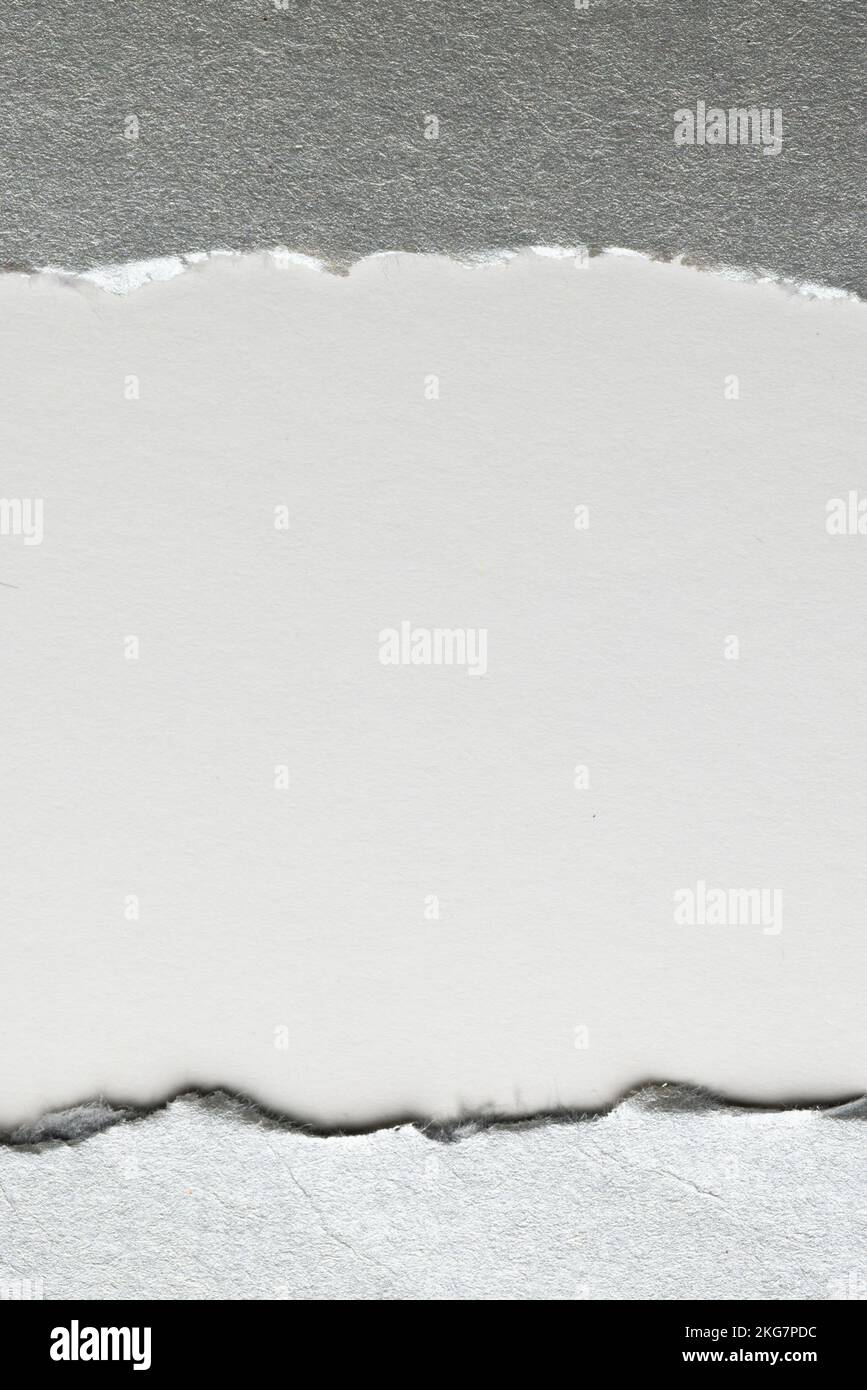 Ripped up pieces of gray paper with copy space on white background ...