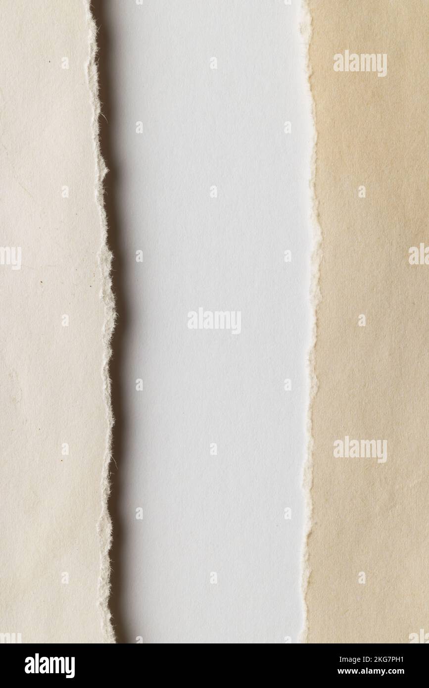 Ripped up pieces of beige paper with copy space on white background ...