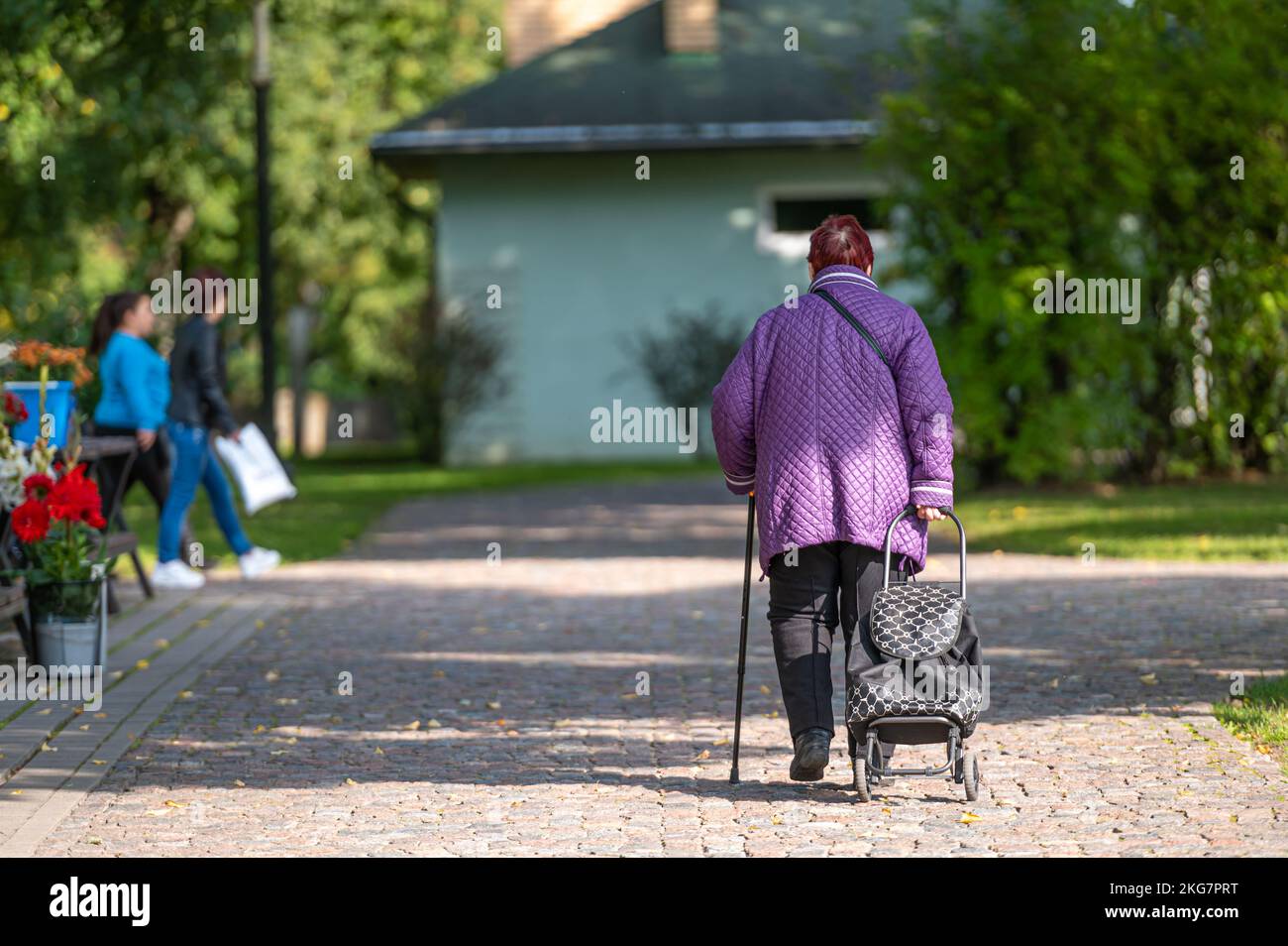 an senior woman with a cane pulls a bag on wheels behind her on a ...