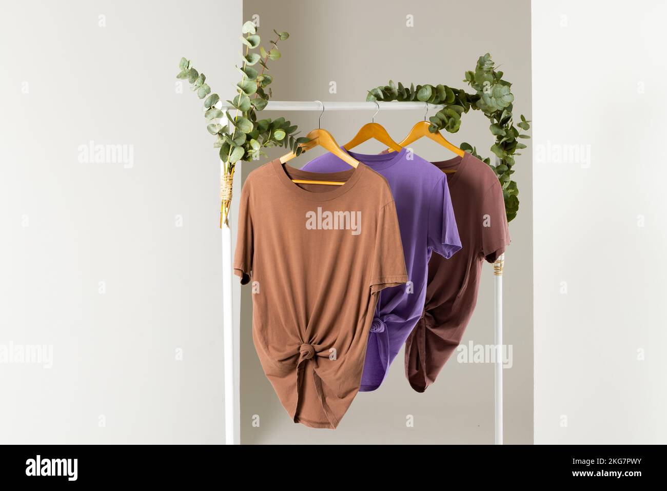 Tshirts displayed on clothing rail and copy space on white background ...