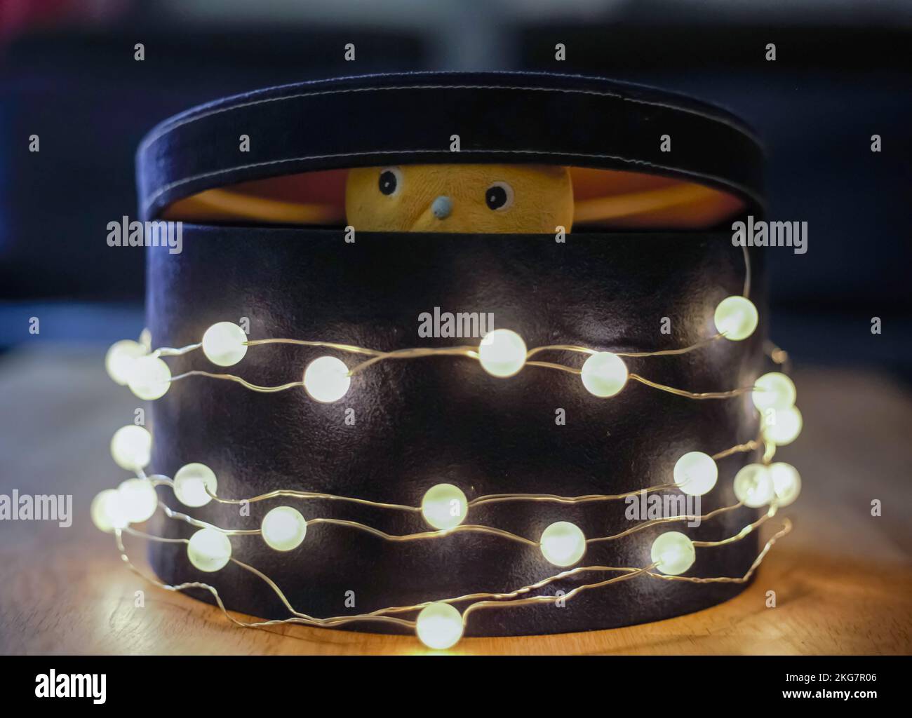 curious toy duck inside illuminated surprise box Stock Photo - Alamy