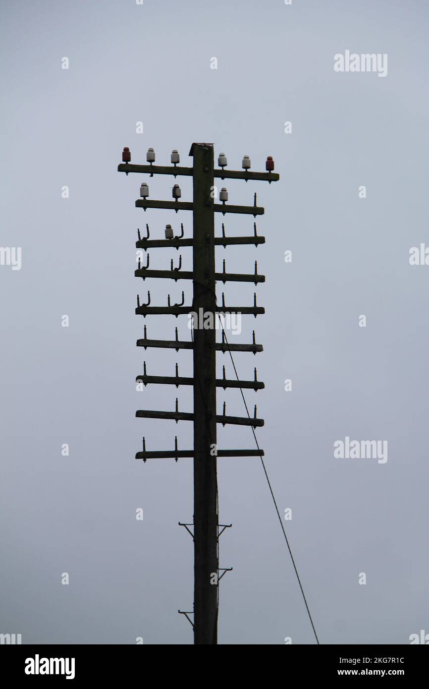 The Insulators and Holders of a Vintage Telephone Pole Stock Photo - Alamy