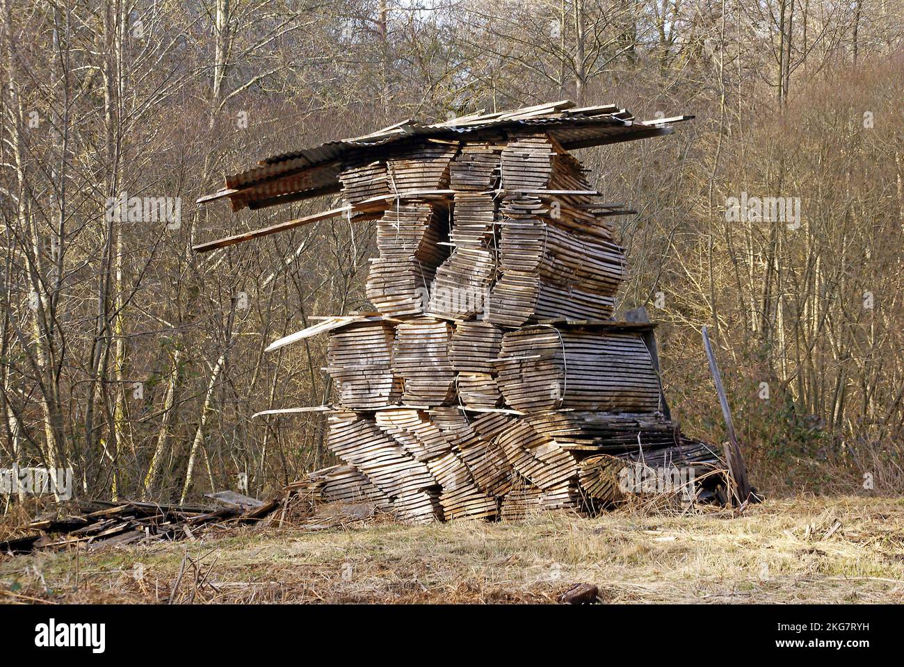 Tottering piles of hardwood being seasoned. Spotted in the village of ...