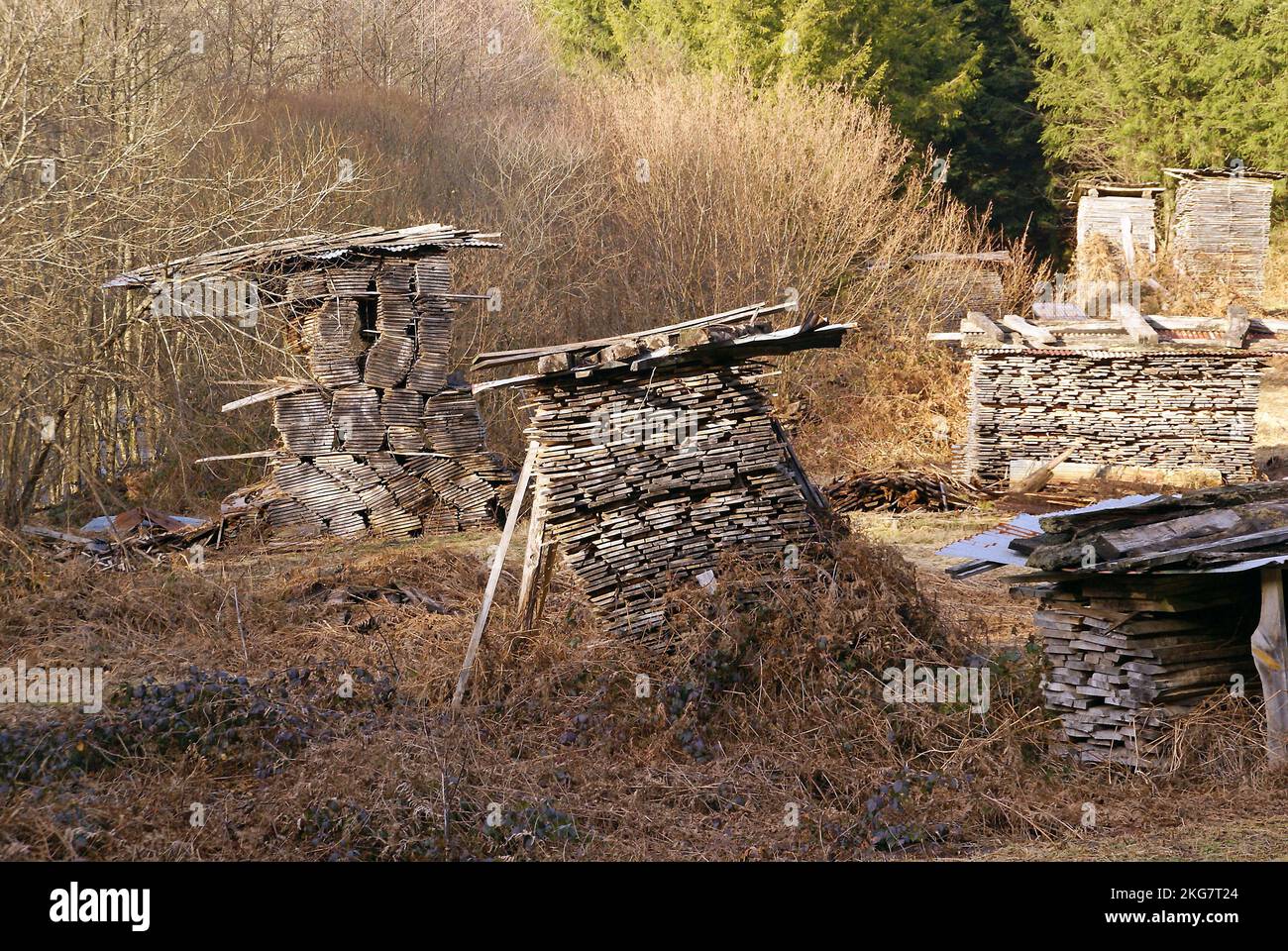Tottering piles of hardwood being seasoned. Spotted in the village of ...