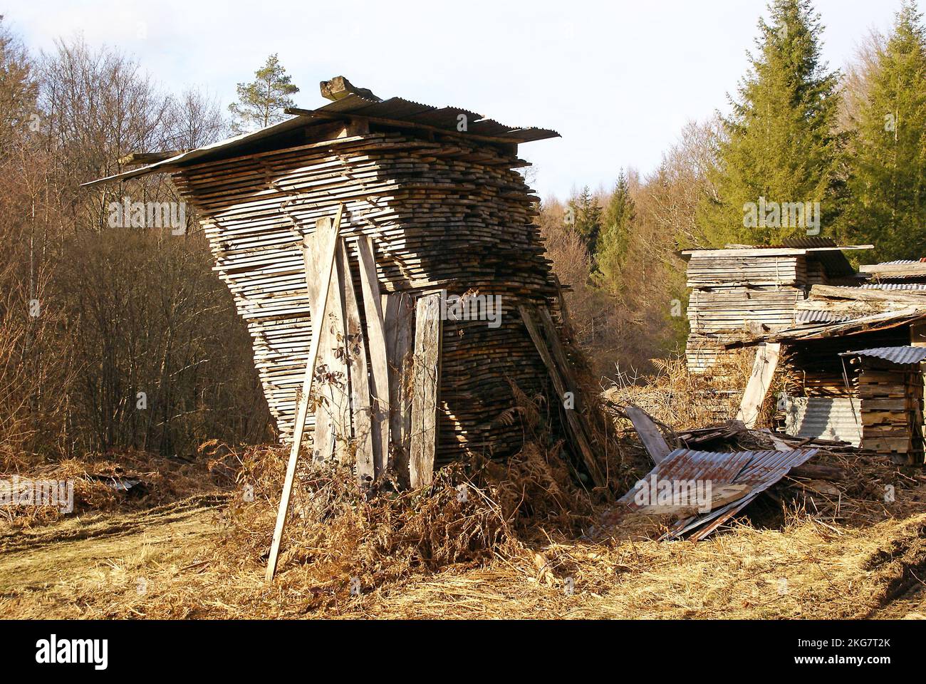 Tottering piles of hardwood being seasoned. Spotted in the village of ...