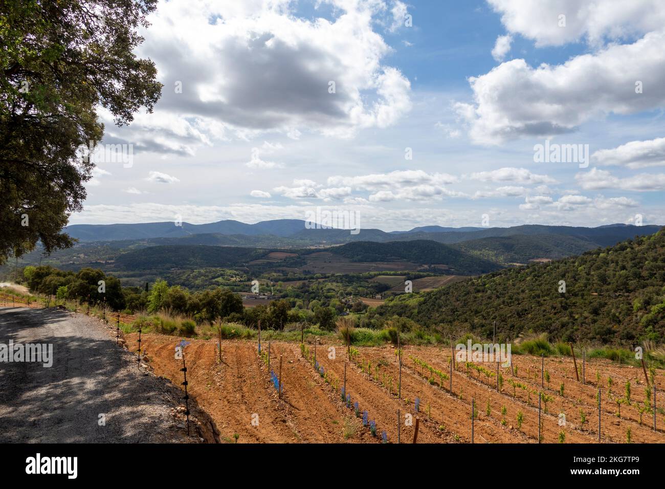 Massif des Maures hilly landscape, in la Garde-Freinet, in France, in ...