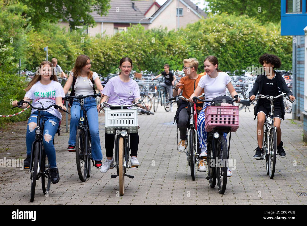 secondary school students ride their bicycles to school. holland ...