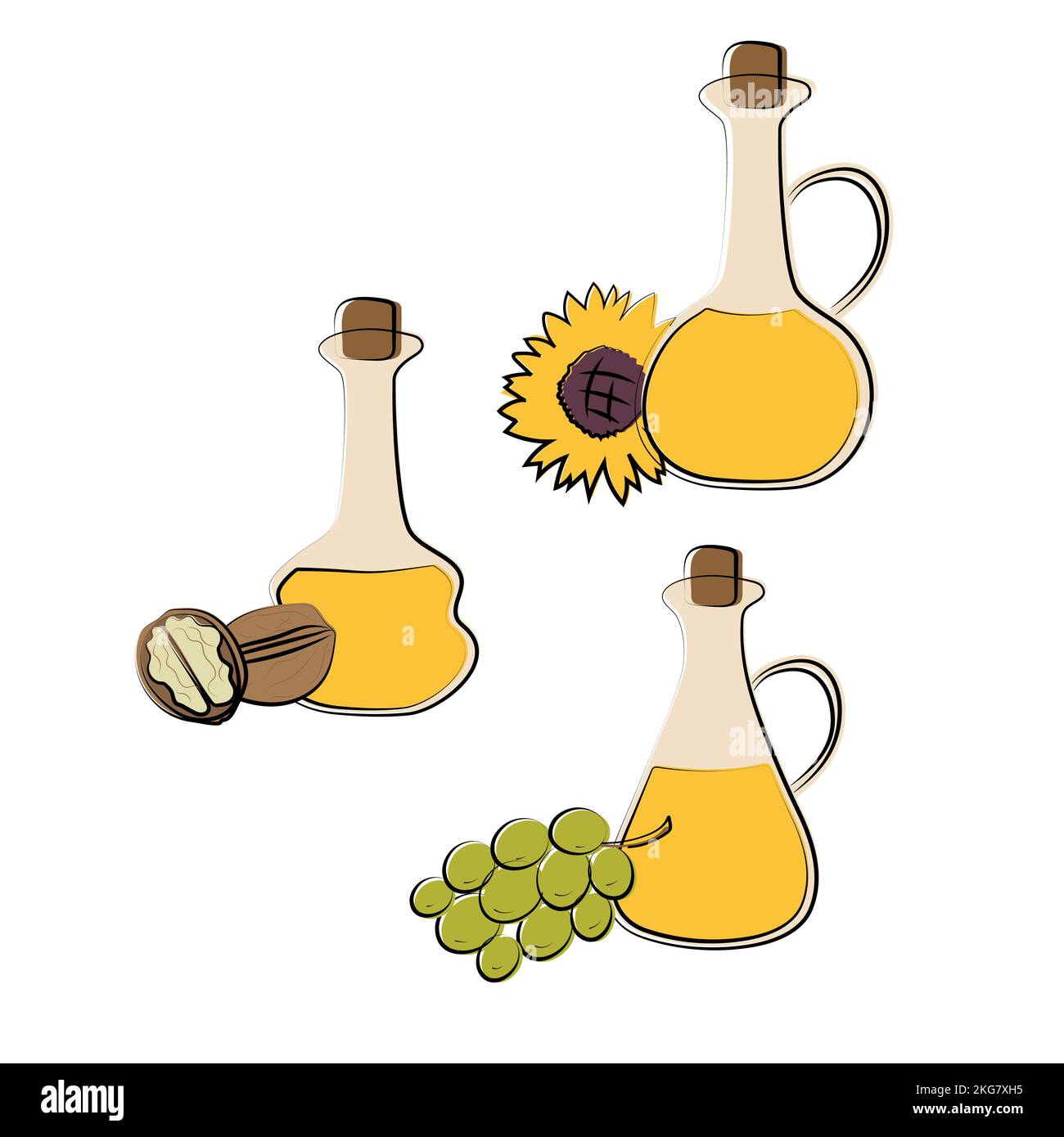 Oil bottle set. Sunflower walnut peanut grape seed icon. Flat vector ...
