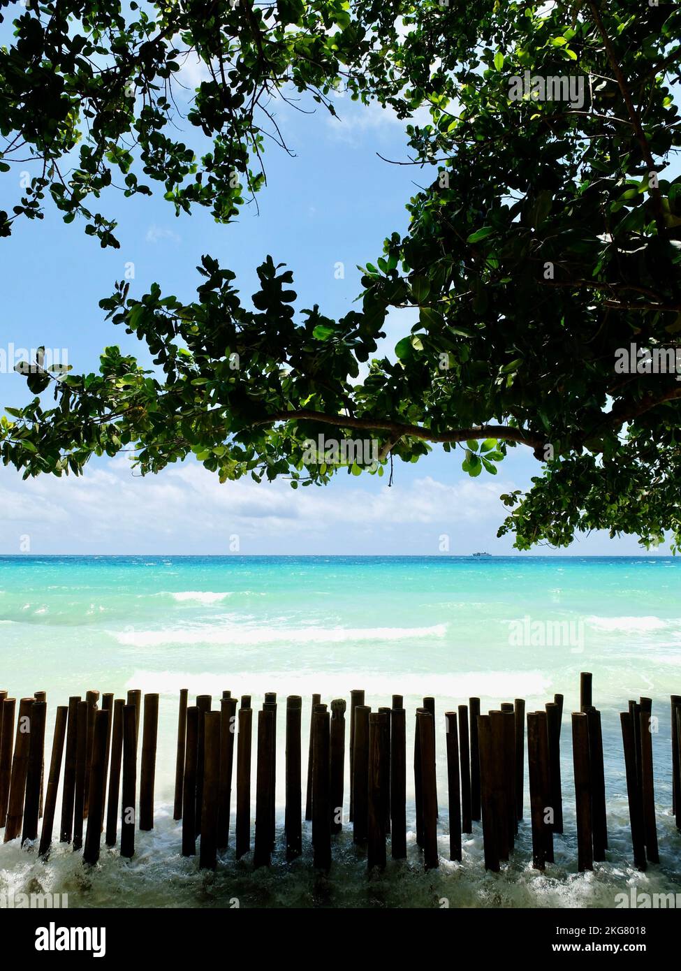 A vertical view of the turquoise waters of Boracay framed by bamboo ...