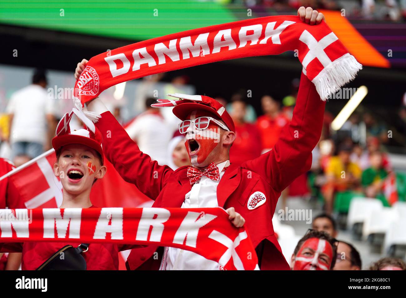 Denmark fans in the stands during the FIFA World Cup Group D match at ...
