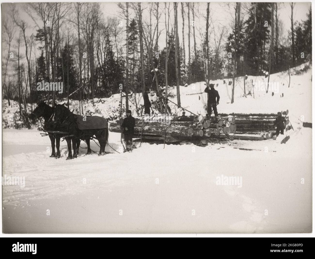 Old historic logging history hi-res stock photography and images - Alamy