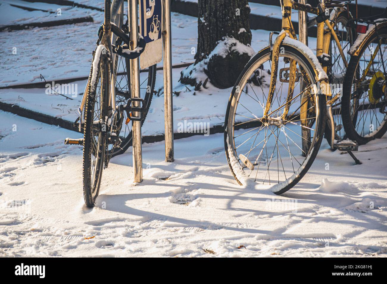 Old bikes tied with a chain and lockers covered by the snow in winter ...