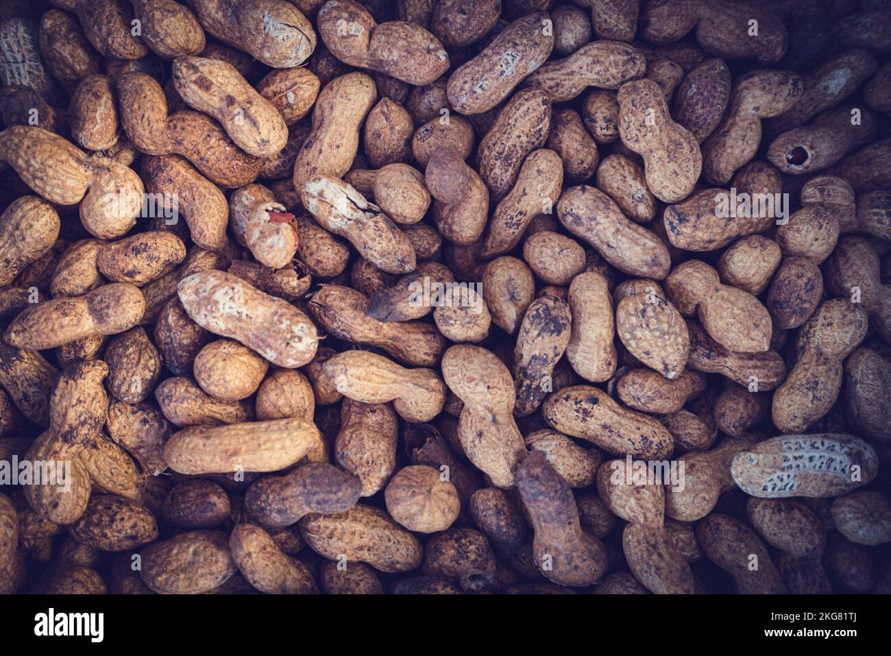 Peanut Background Texture. Roasted Peanuts Stock Photo - Alamy