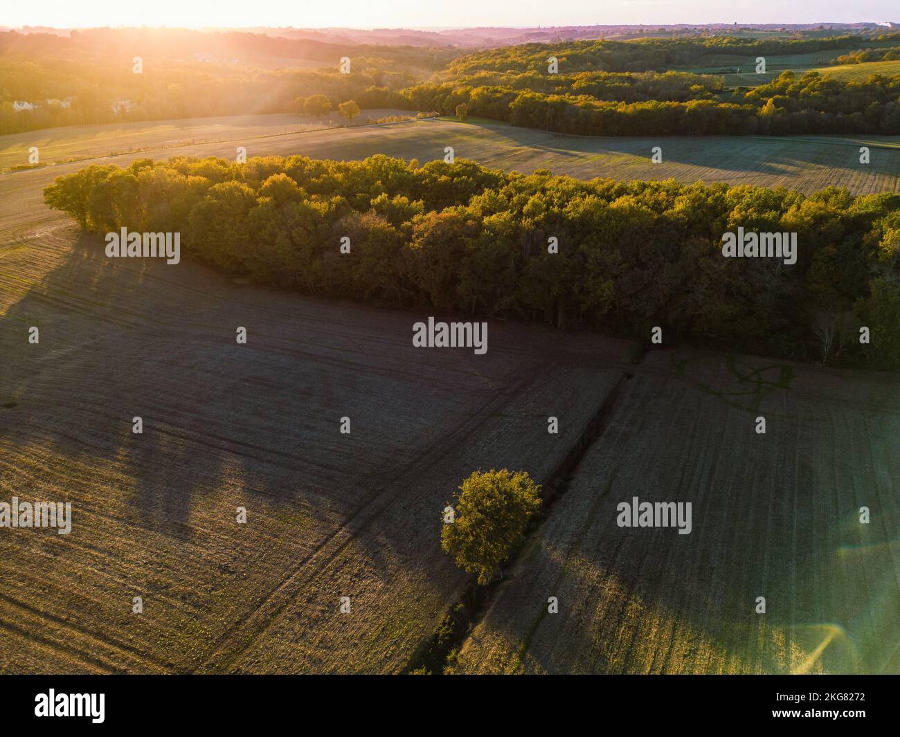 Aerial view Bordeaux Vineyard and forest at sunrise, film by drone in ...
