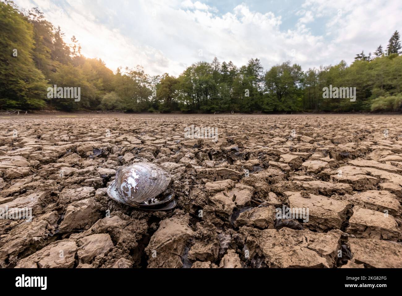 Dry riverbed with cracked mud in hot summer Stock Photo - Alamy
