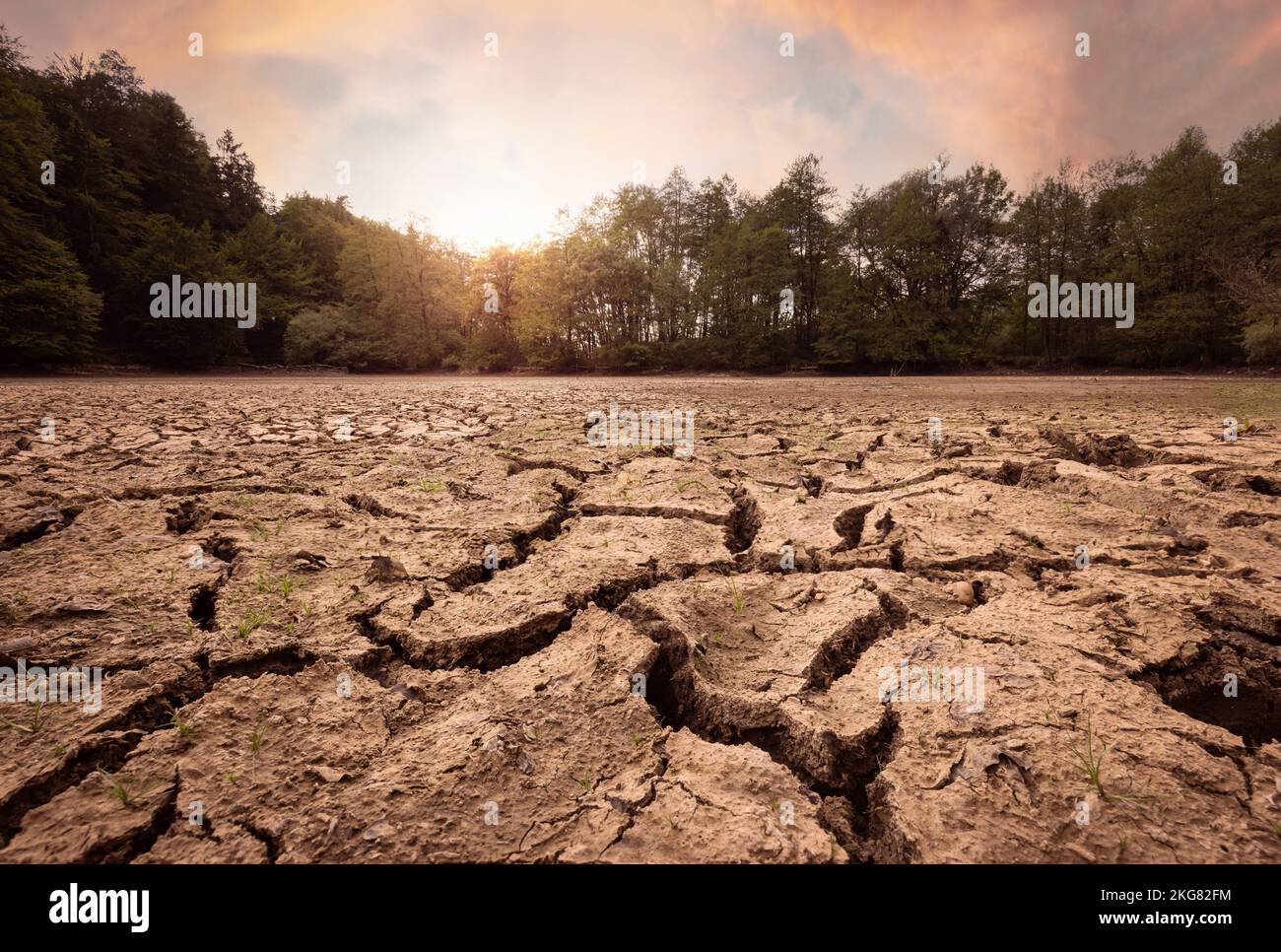 Dry and cracked mud ground during the summer drought, rough surface ...
