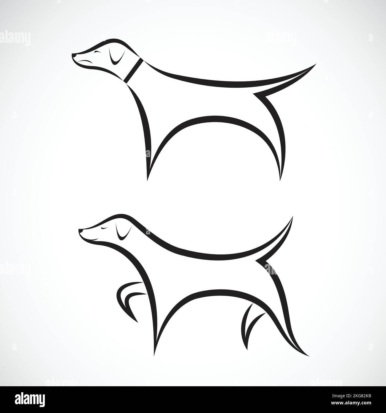Vector of vizsla dog standing on white background. Easy editable ...