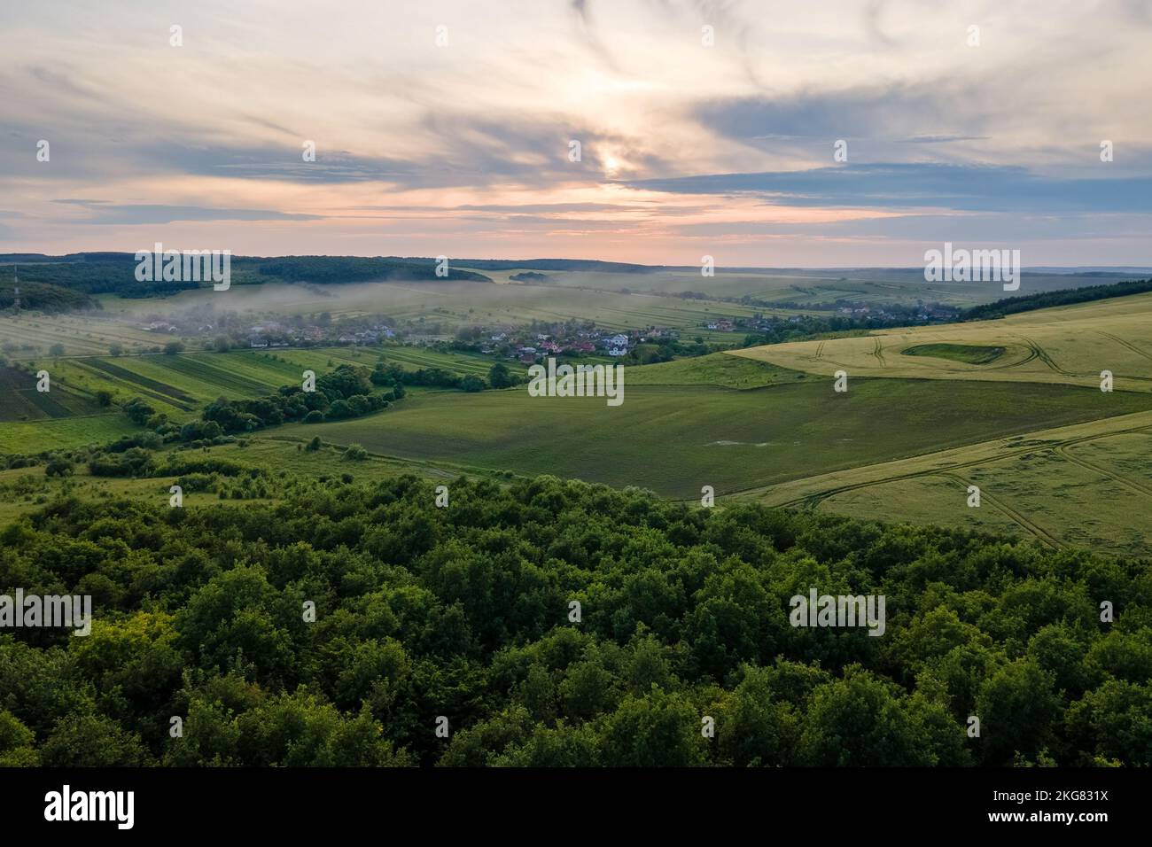 Aerial view of dark green lush forest with dense trees canopies in ...