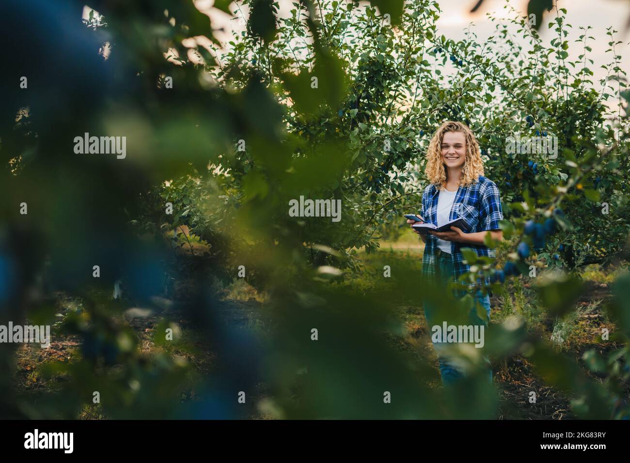 Curly woman farmer monitoring the temperature, humidity on the orchard ...