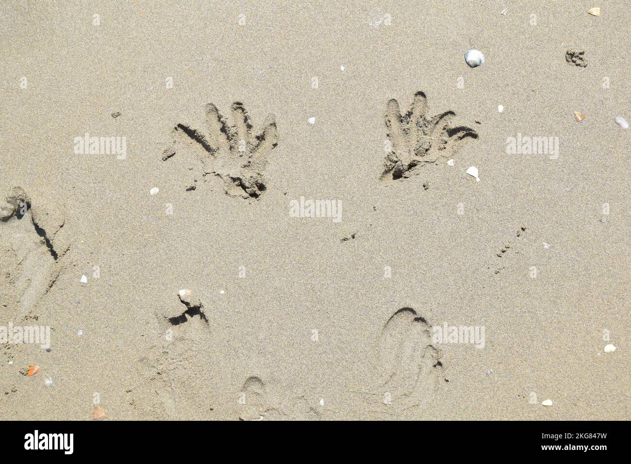 A sunny weather on the beach in Italy with imprints of hands and feet ...
