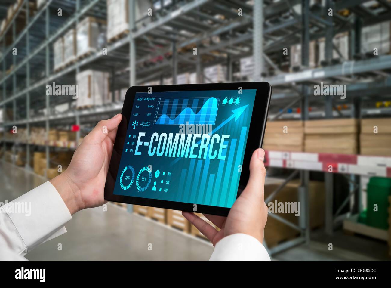 E-commerce data software provide modish dashboard for sale analysis to ...