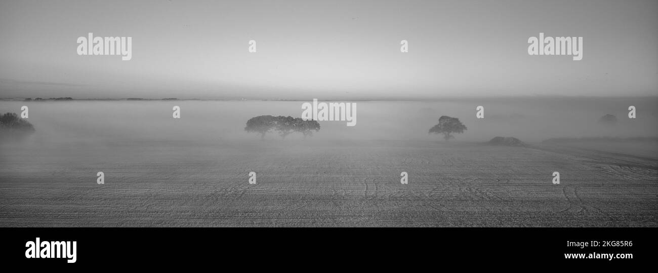 An aerial view of a layered mist covering a field landscape with trees ...