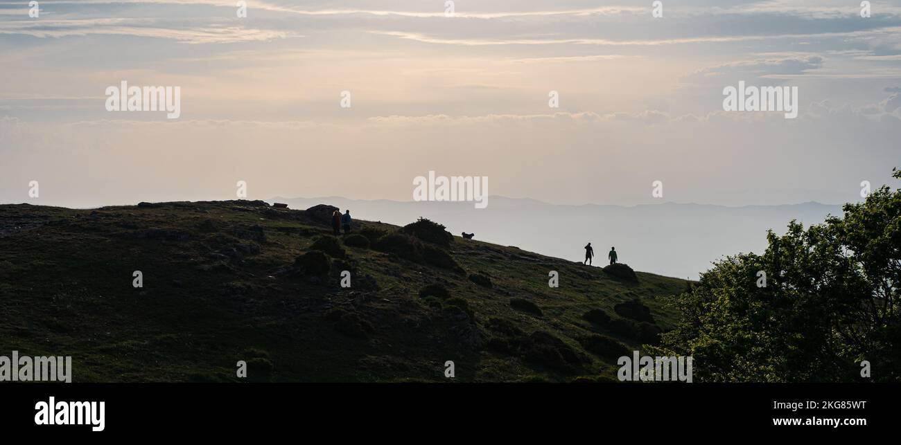 An aerial view of mountain landscape surrounded by bushes Stock Photo ...