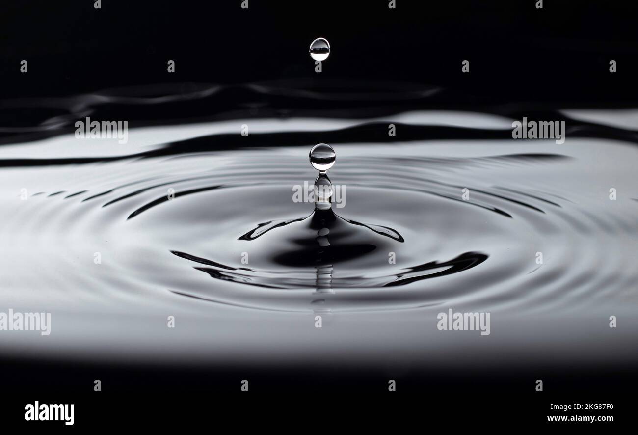A grayscale shot of a water drop falling into the water making a perfect droplet splash Stock ...