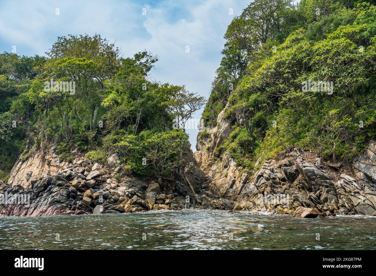 Tropical forest and cacti on the rugged shoreline of Huatulco National ...