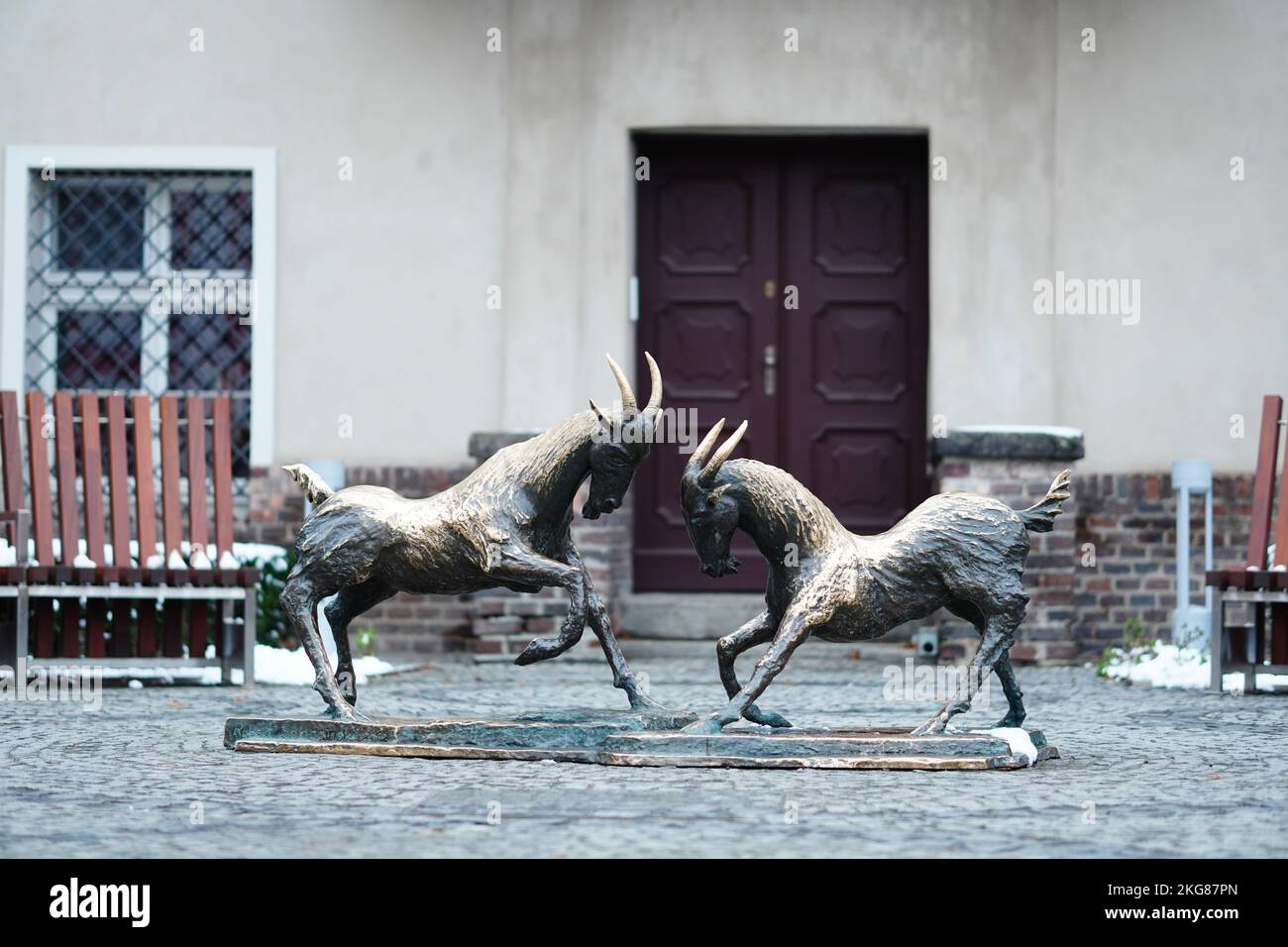 The two goat sculptures on the Plac Kolegiacki square Stock Photo - Alamy