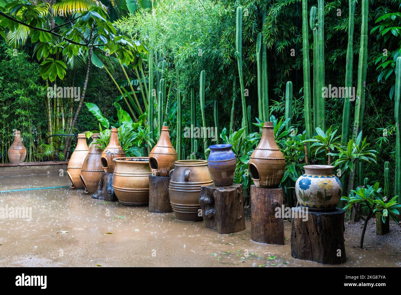 Traditional ceramic pots and cacti in a courtyard in front of a ...