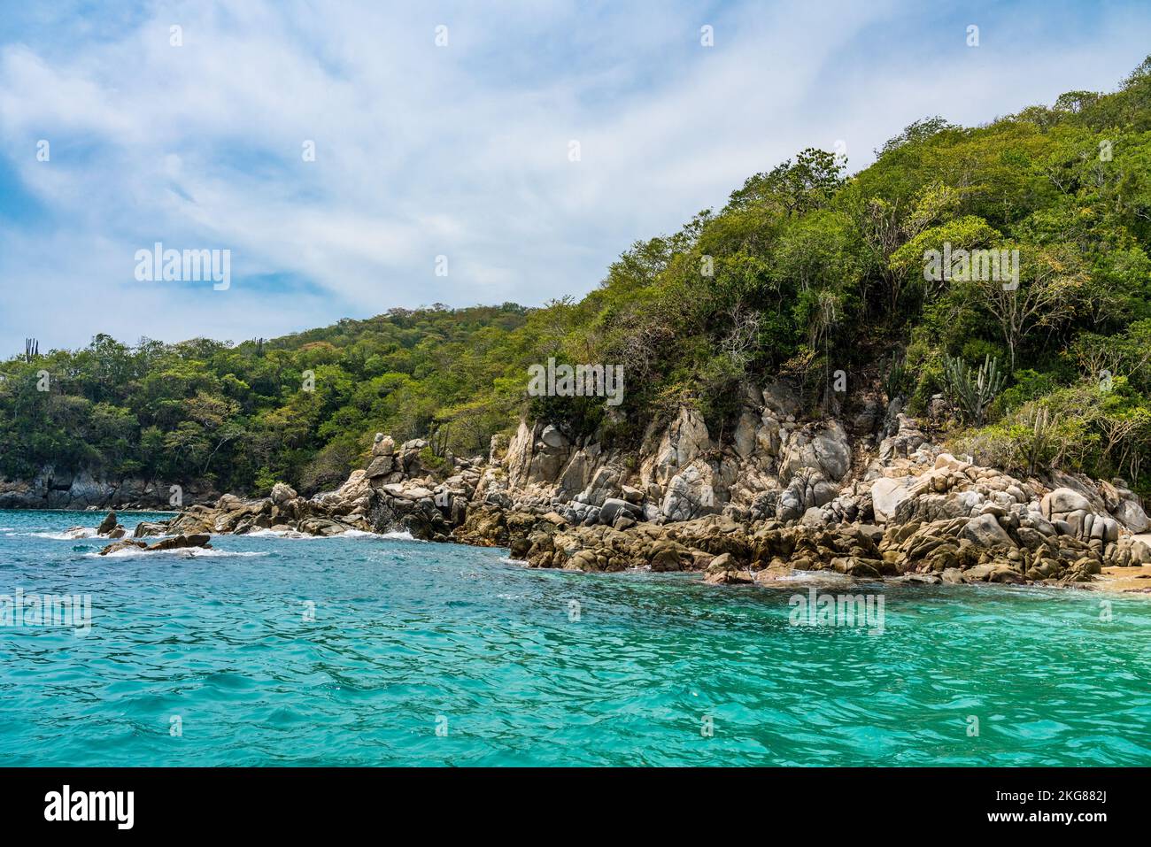 Tropical forest and cacti on the rugged shoreline of Huatulco National ...