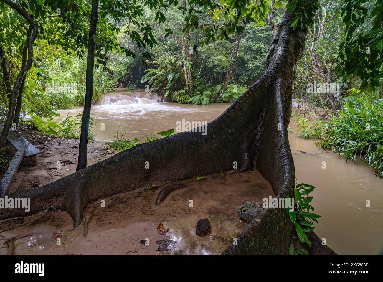 The Magic Waterfalls or Cascadas Magicas on the Rio Copalitilla in the ...