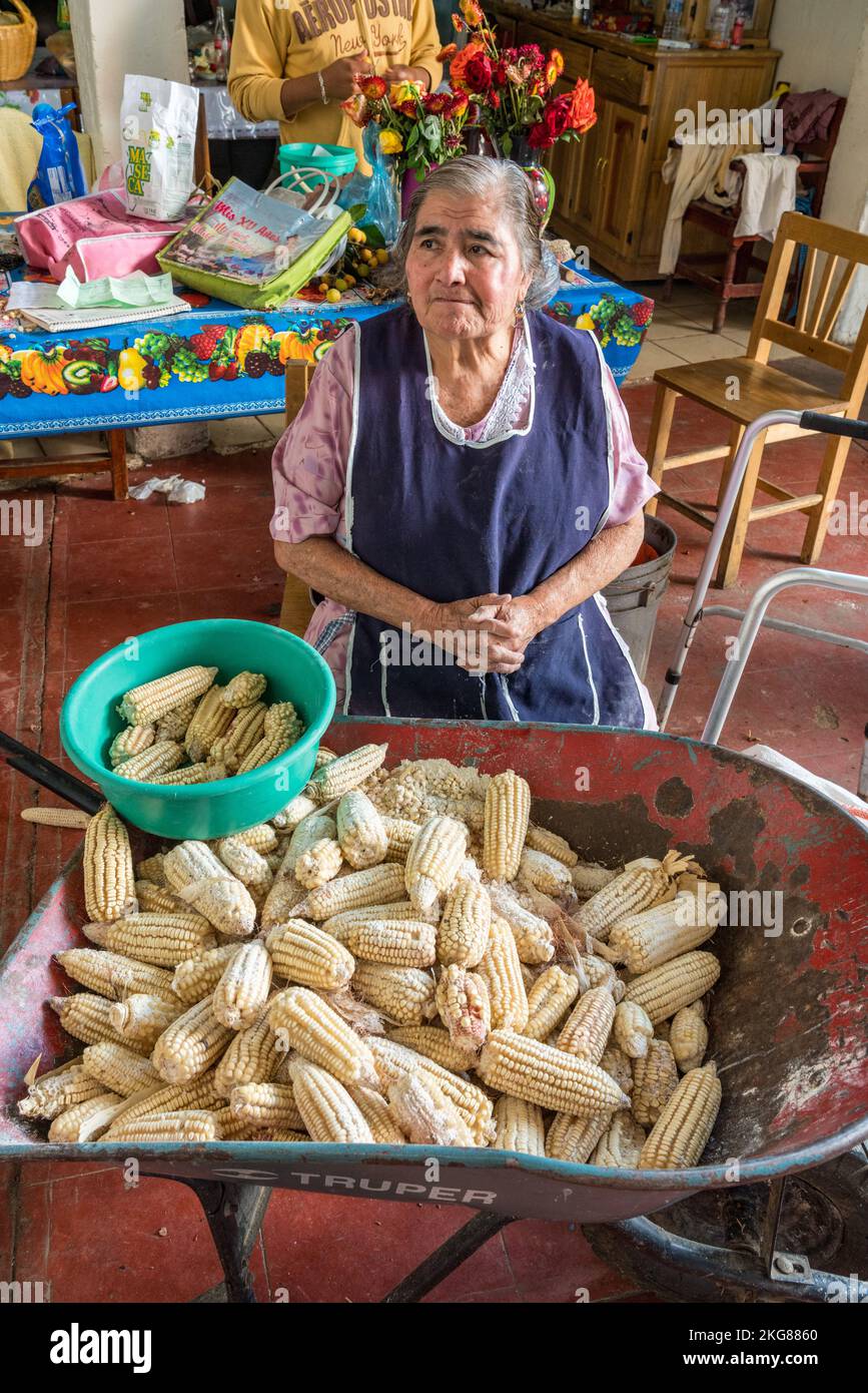 Older woman cleans a wheelbarrow full of corn for making tortillas in ...