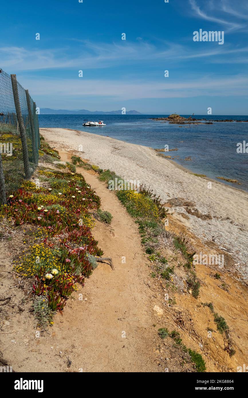 Saint-Tropez coastal path lined with flowers with a view of the sea ...