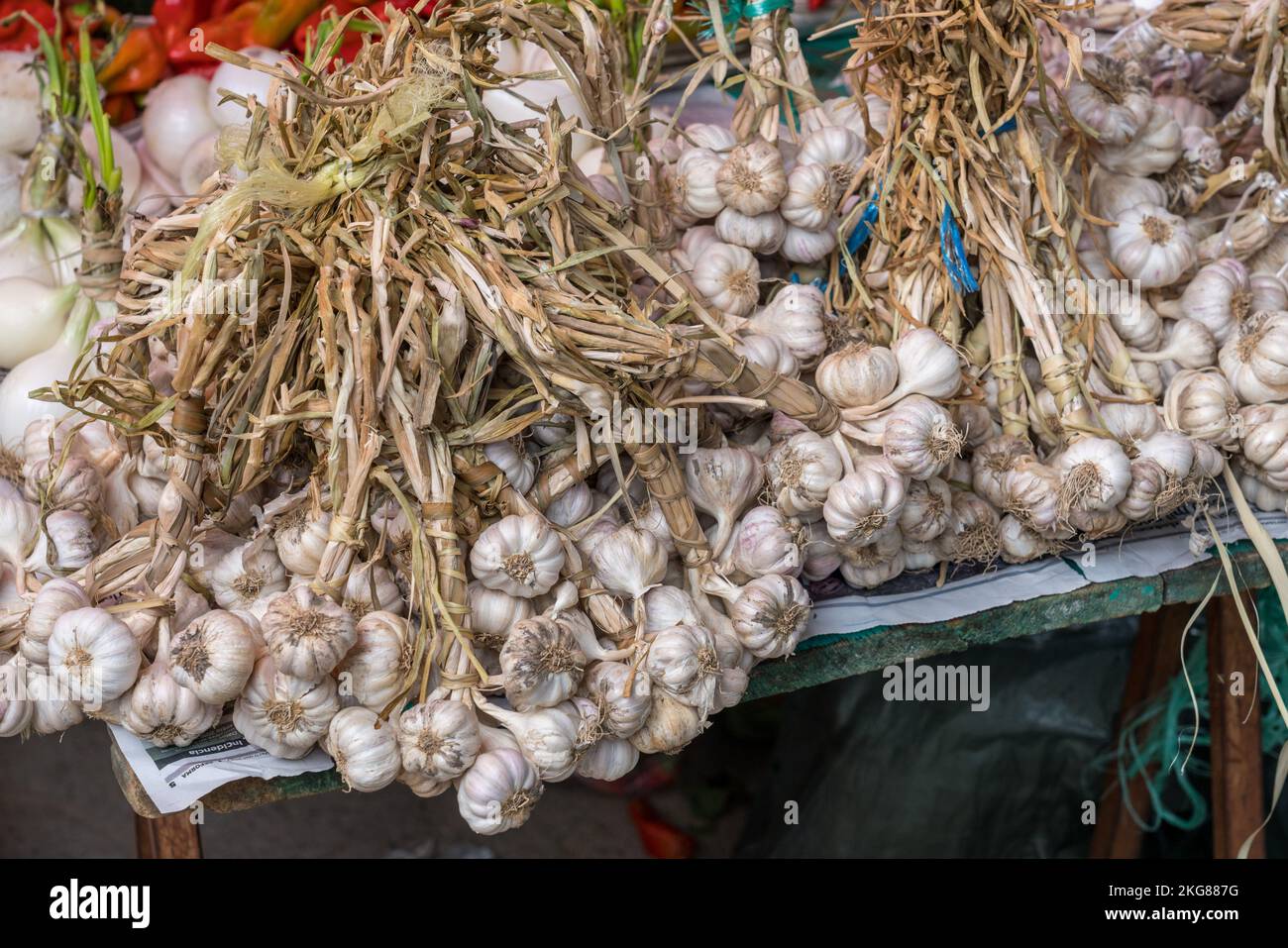 Garlic bundled for sale in the market at Zaachila, Oaxaca, Mexico Stock ...