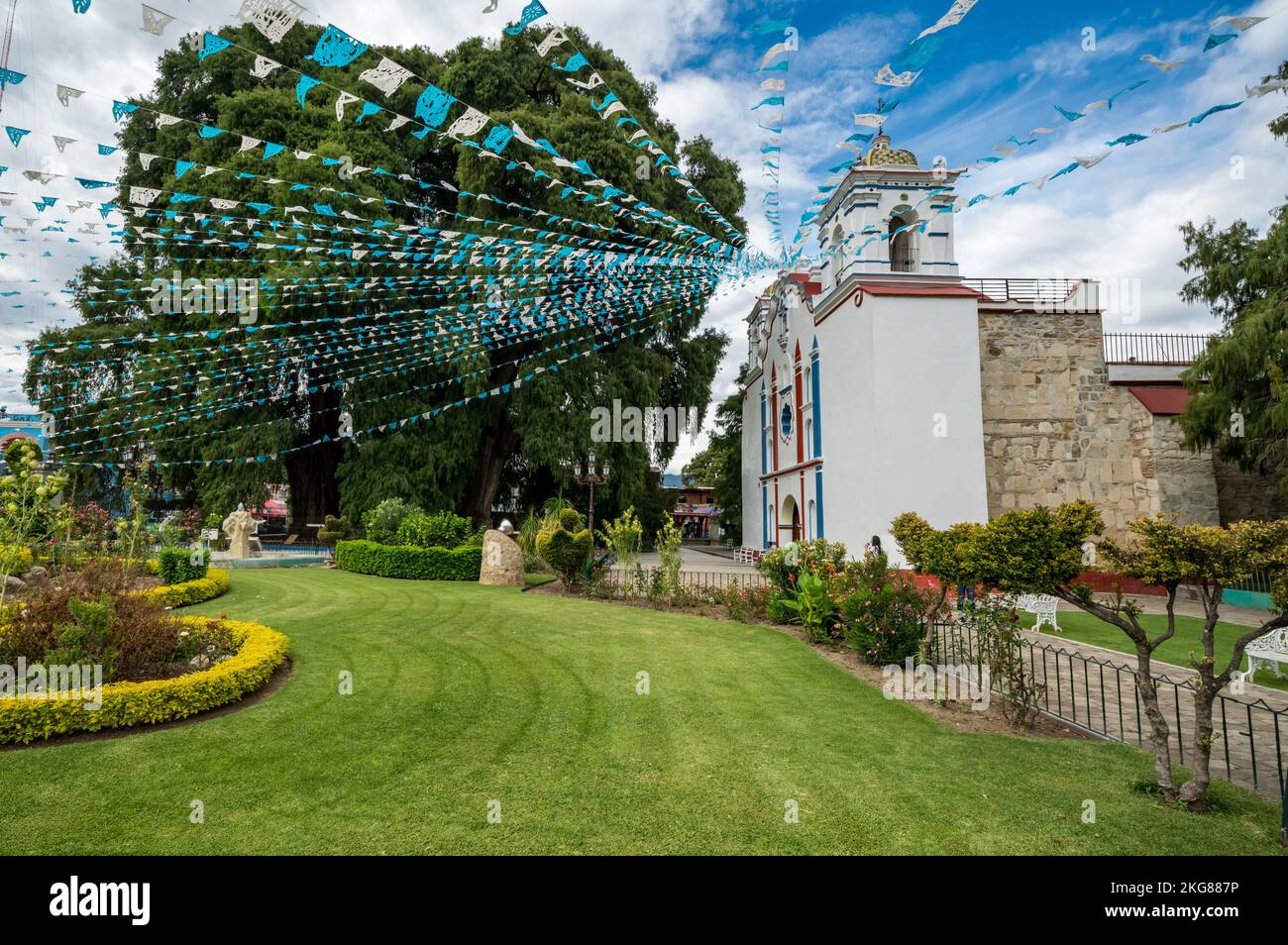 The Tree of Tule, left, & Temple of the Virgin Mary of the Assumption ...