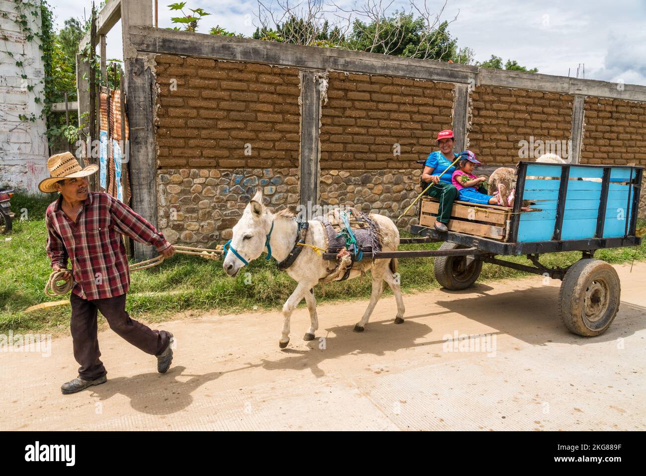 A farmer leads his donkey pulling a wagon carrying his family and sheep ...
