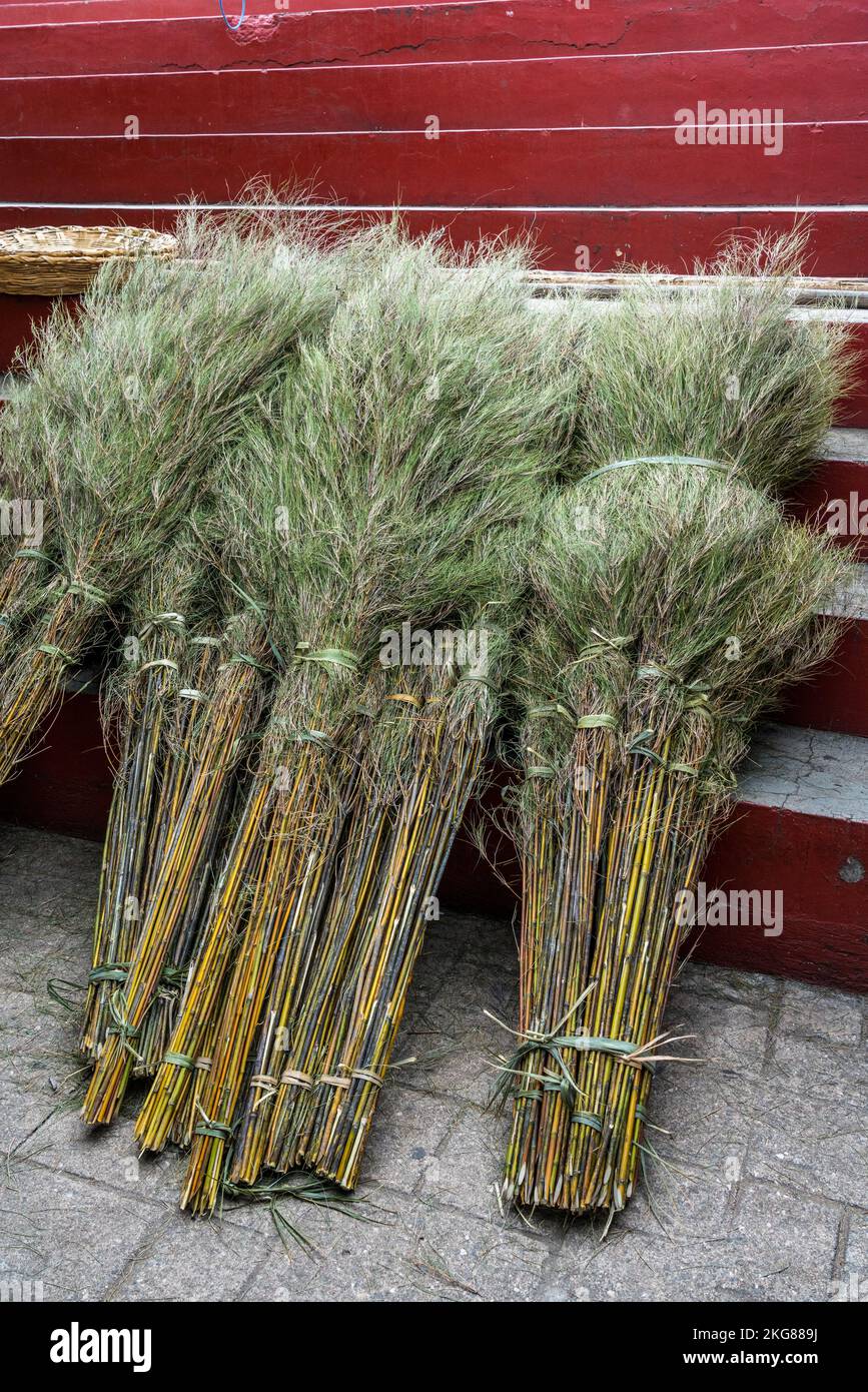Natural brooms for sale at the weekly market in Zaachila, Oaxaca ...