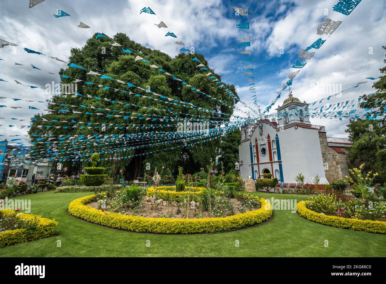 The Tree of Tule, left, & Temple of the Virgin Mary of the Assumption ...